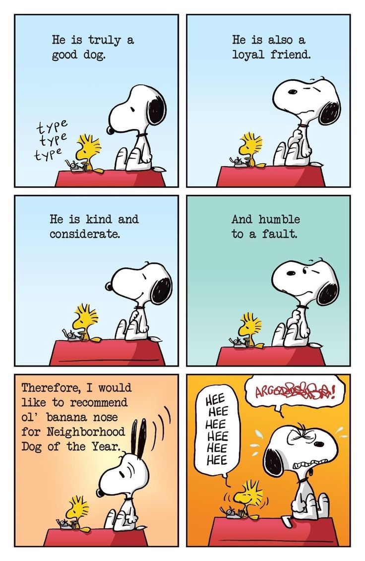 🧡You Are Never Too Old For Snoopy 💛👀💚 – VIXEN of VERSE
