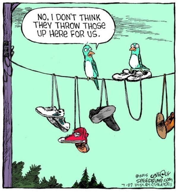 🤣Sense of Humour 🤣💙230💙🤣 – VIXEN of VERSE