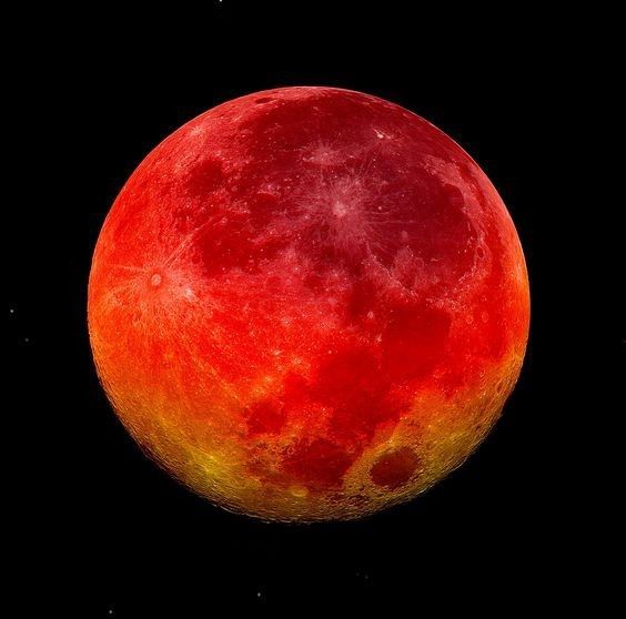 🌞💐The Lai Poem – No. 1💐🌞 – VIXEN of VERSE