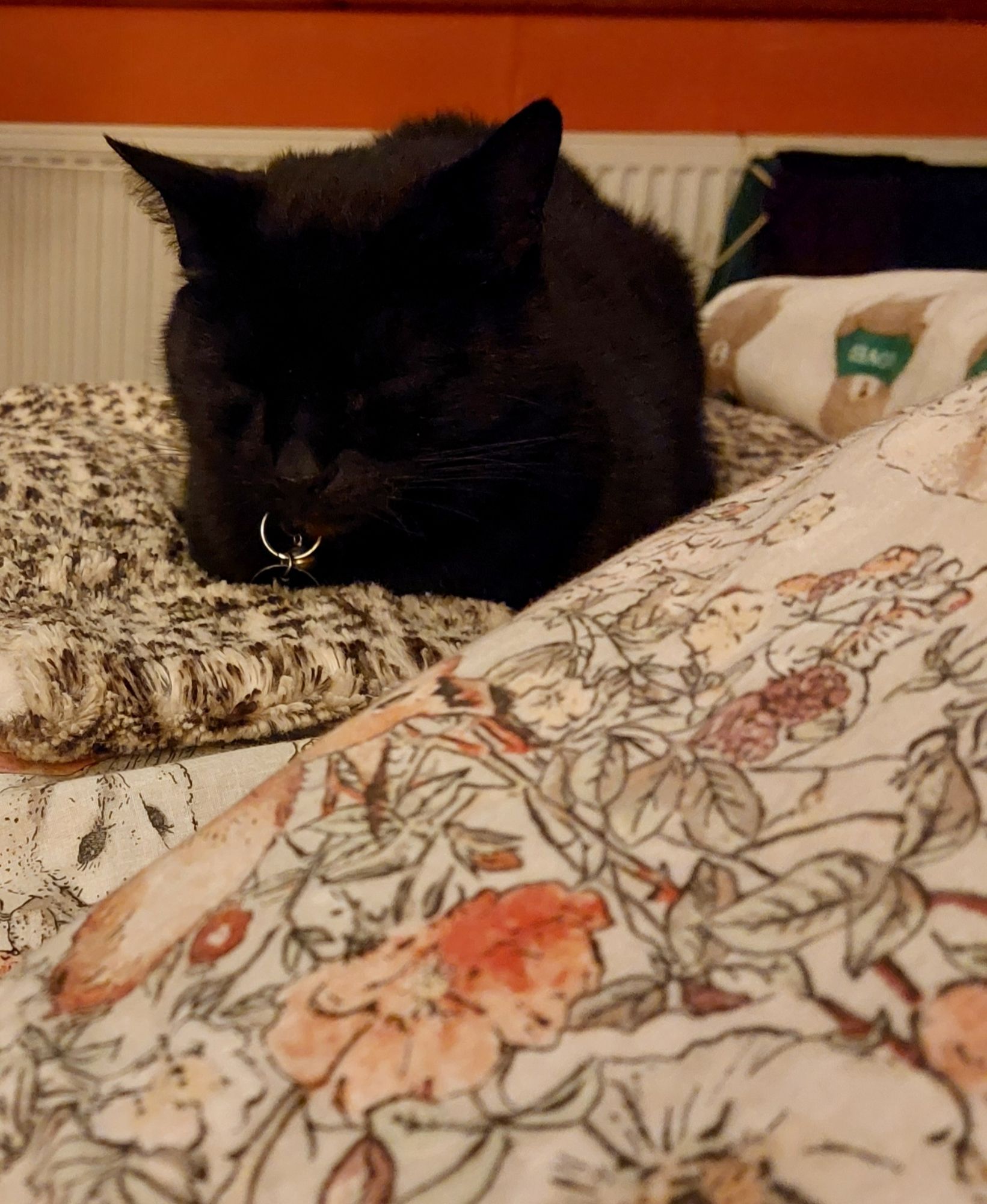 🌞💐The Lai Poem – No. 5💐🌞 – VIXEN of VERSE