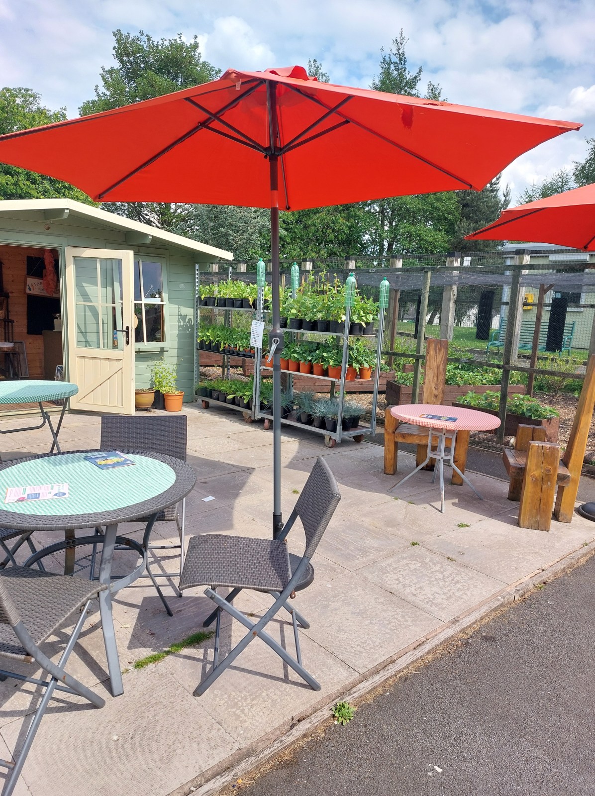 🫧🎙Event Review🎙🫧 Veg In the Park – Waterhead Park – Oldham – VIXEN of VERSE