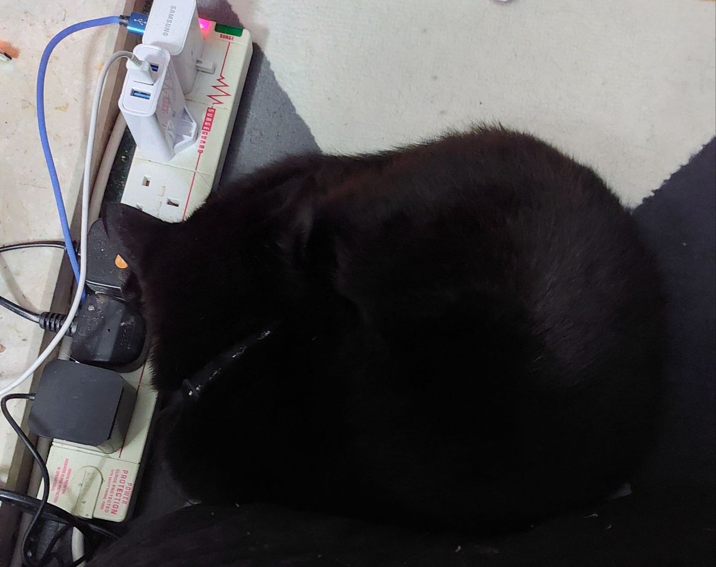 💐💚💜Random… Haiku/Senryu Theme💐💚💜No.484💐💚💜 – VIXEN of VERSE