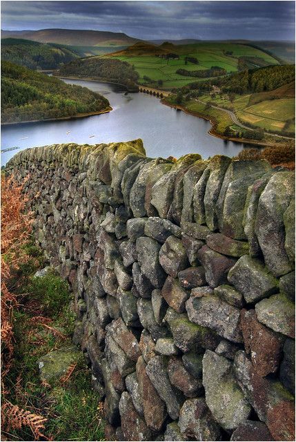 🍇💚💙Random… Haiku/Senryu Theme – 🍇💚💙No.506🍇💚💙 – VIXEN of VERSE