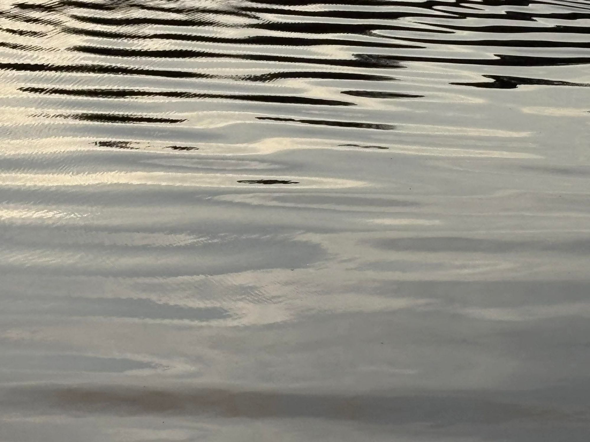 📚🤸‍♂️Slow Renga (126) Wednesday 🤸‍♂️📚 – VIXEN of VERSE