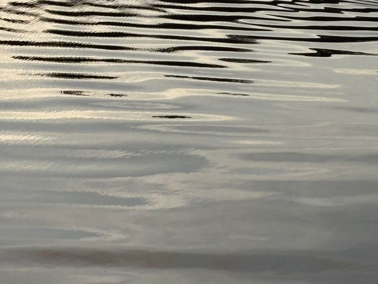 📚🤸‍♂️Slow Renga (126) Wednesday 🤸‍♂️📚 – VIXEN of VERSE